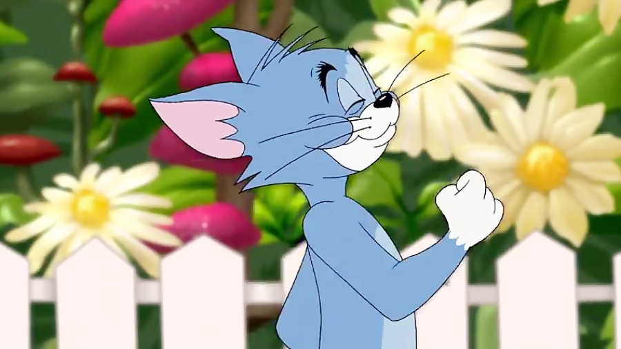 Tom Jerry | Tom Jerry Arrive At the Oz | WB Kids