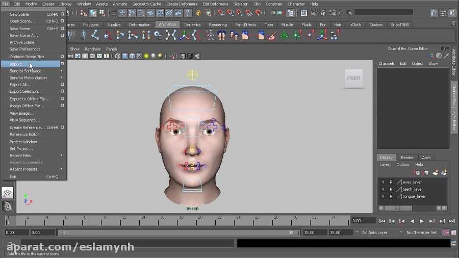 03 Digital Tutors Facial Animation In Maya