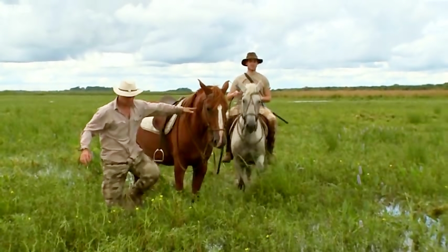 دنیای حیوانات - طعمه گرفتار در دوربین! - Caiman Bite Caught on Camera