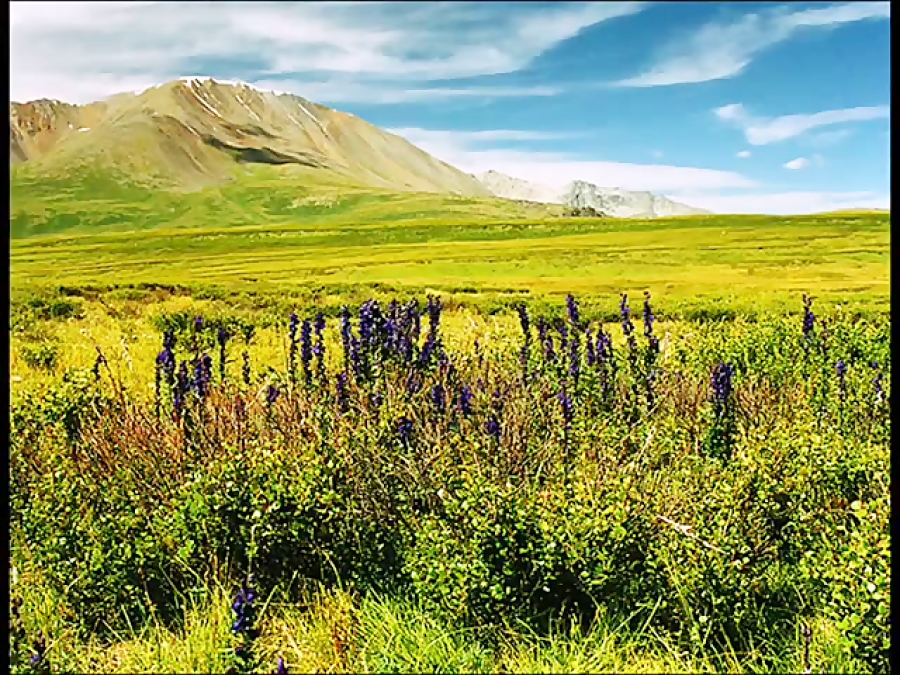 موسیقی روسی (Russian Folk song - Katyusha (instrumental