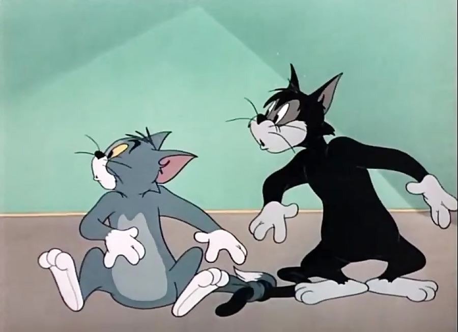 کارتون تام و جری - Tom and Jerry Cartoon - Casanova Cat