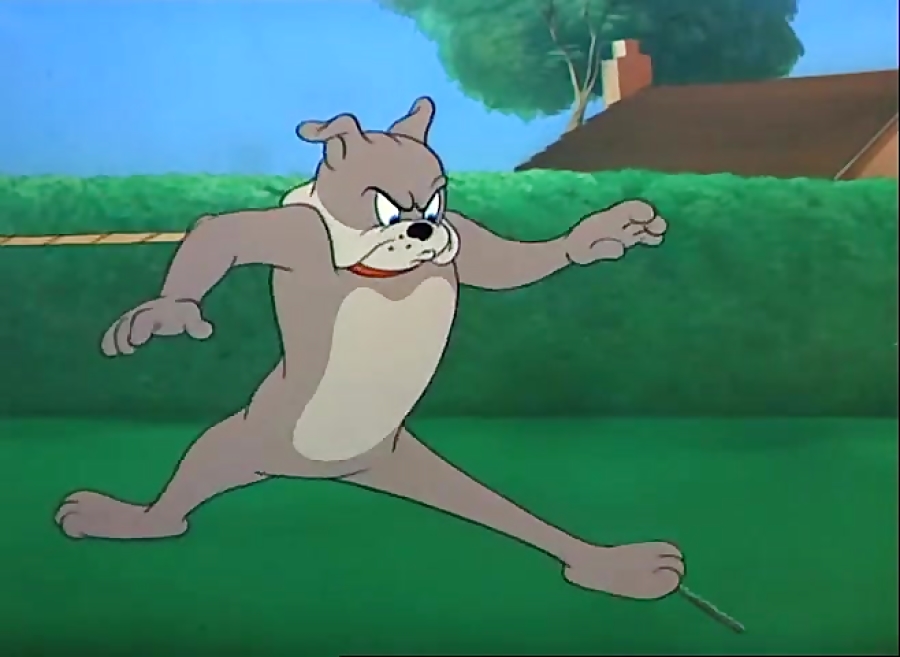 کارتون تام و جری - Tom and Jerry Cartoon - Fit to Be Tied