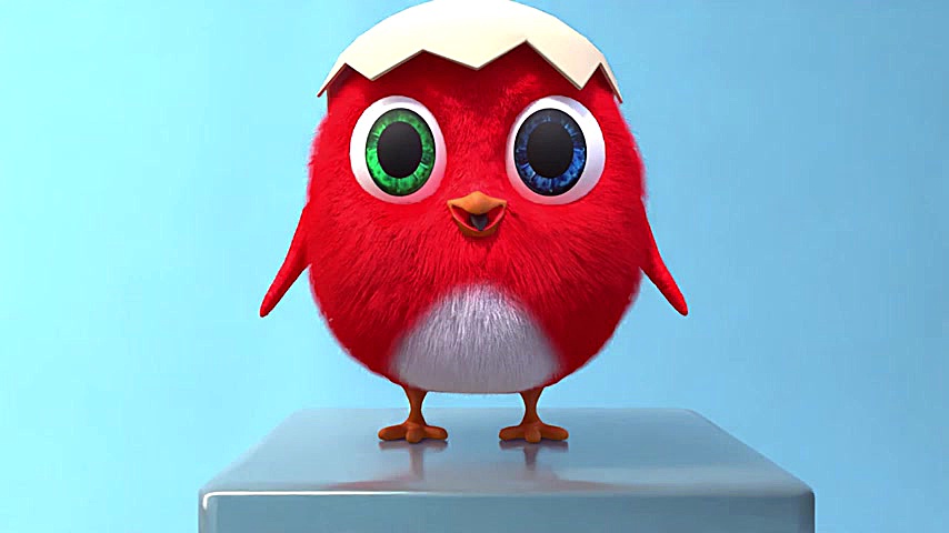 - Compilation #7 Crazy CucKoo - New Cartoons for kids