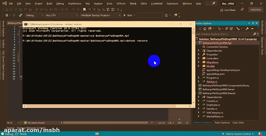 ASP.NET Core 3.1 Blazor Server-side project BethanysPieShopHR on Pluralsight