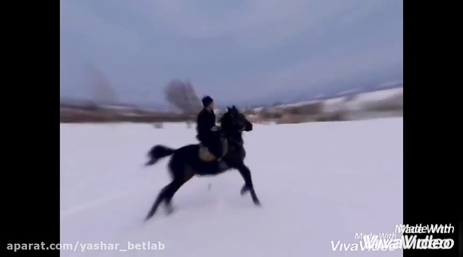 اسب کرد جیران ساوالان با سوارکاری یاشار بتلاب
