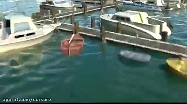 در جستجوی نمو - Finding Nemo