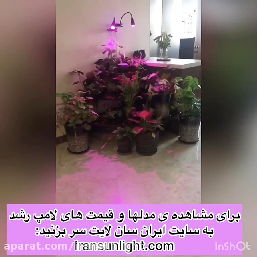رضایت خریدار گرامی از لامپ رشد گیاه ایران سان لایت
