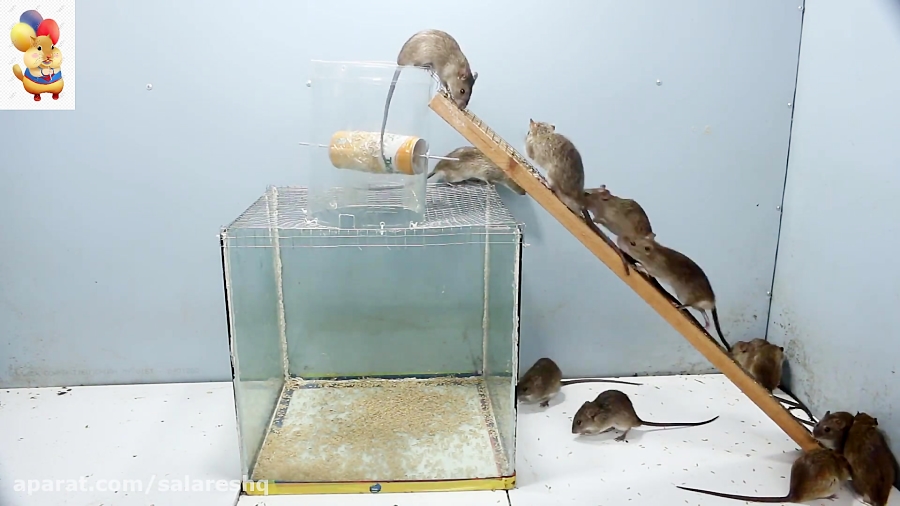 آموزش ساخت تله موش دستی باحال نوع 127 با کیفیت SUPER FULL HD