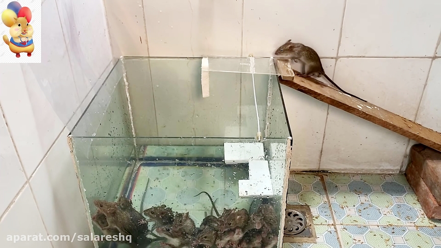 آموزش ساخت تله موش دستی باحال نوع 130 با کیفیت SUPER FULL HD