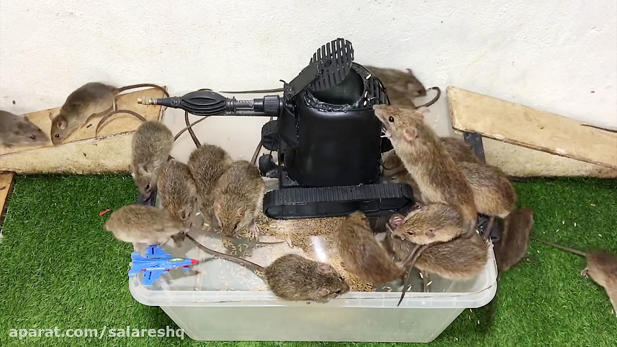 آموزش ساخت تله موش تانگی باحال نوع 161 با کیفیت SUPER FULL HD