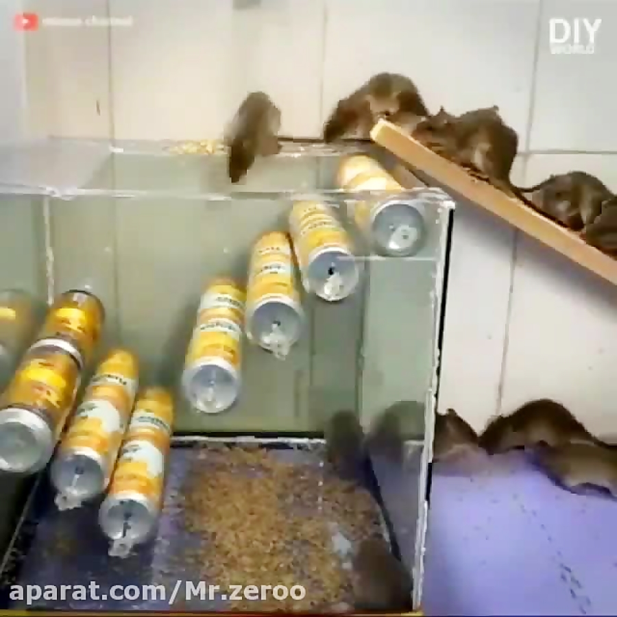 آموزش ساختن تله موش حرفه ای