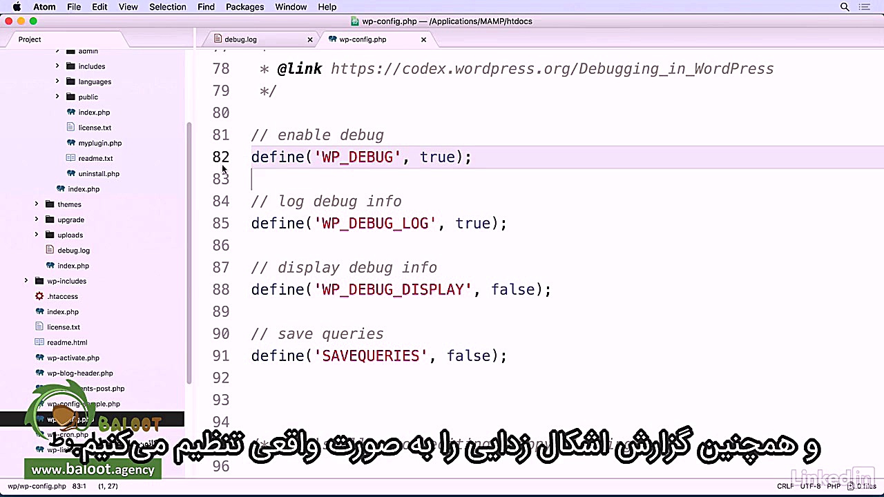 آموزش پلاگین نویسی وردپرس قسمت 4-11