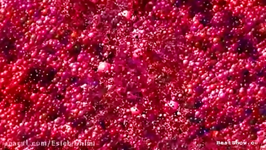 سفری حیرت انگیز به اعماق جهان