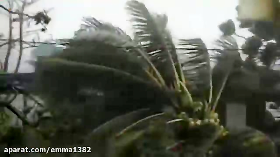 تند باد چیست و چگونه به وجود می آید؟