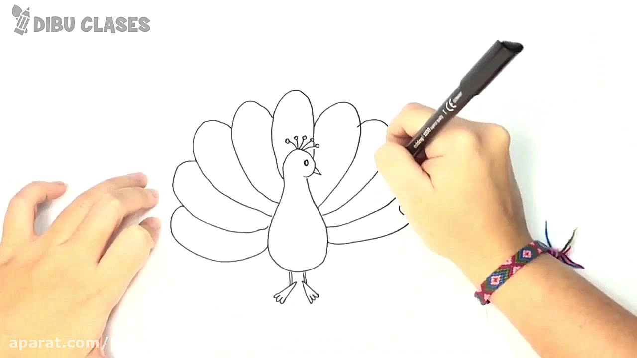 نقاشی با حروف الفبا/ نقاشی با حرف ط/ ط مثل طاووس /آموزش نقاشی طاووس ...