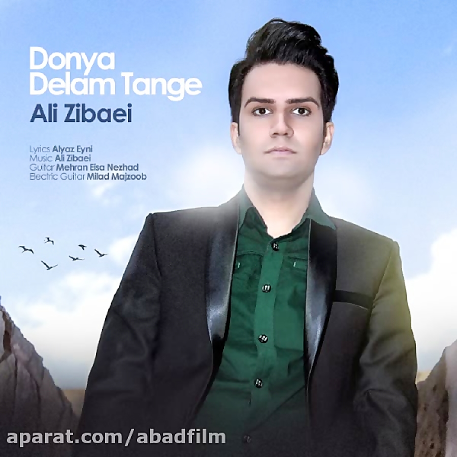 دانلود موزیک Donya Tange Delam اثر Ali-Zibaei