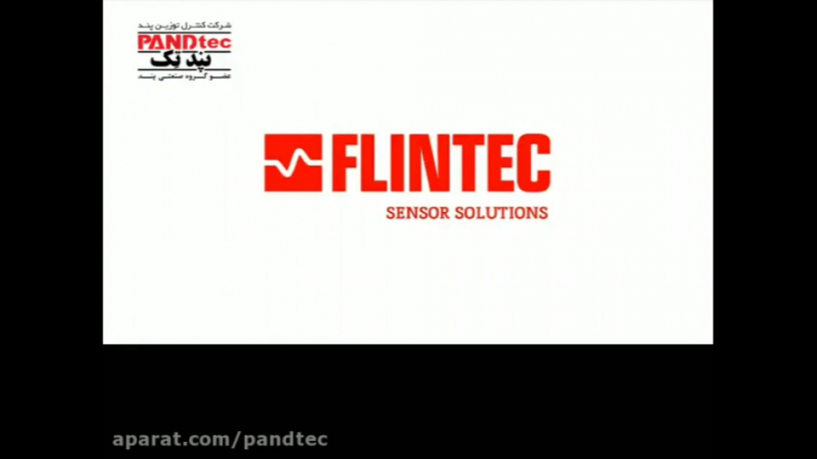 معرفی شرکت Flintec