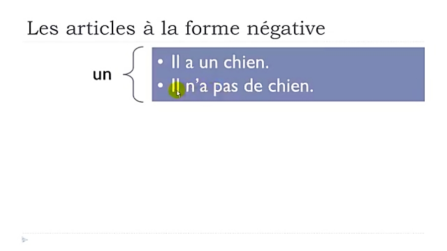 Learn French - Unit 9 - Lesson E - Les articles à la forme négative