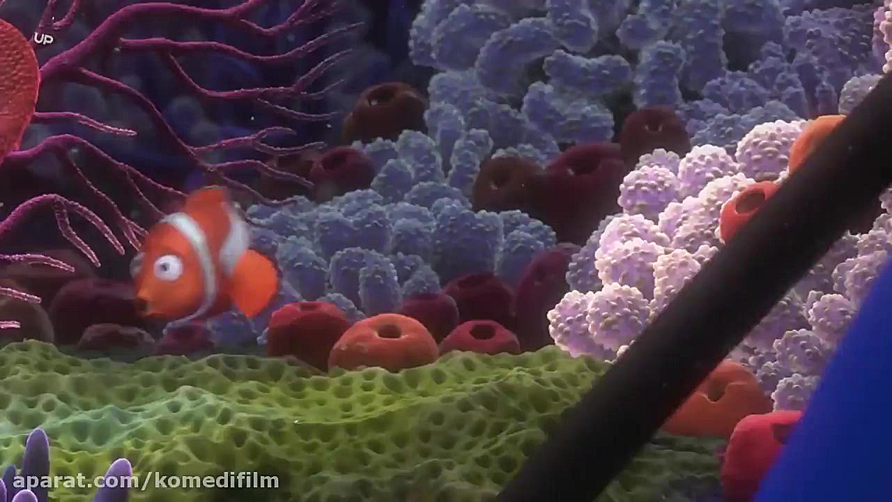 انیمیشن در جستجوی نمو Finding Nemo دوبله فارسی