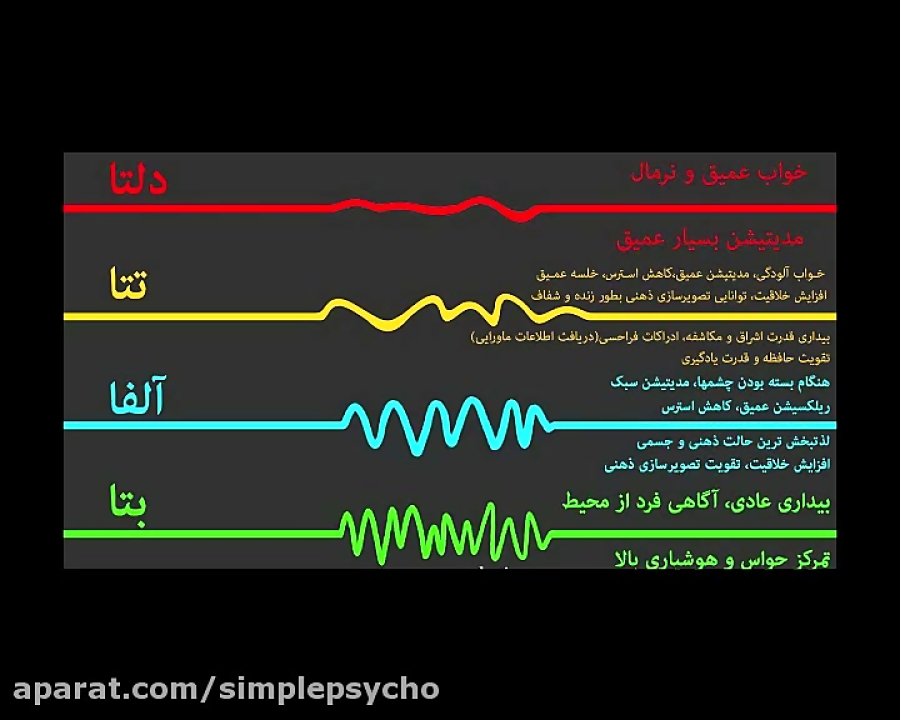 مغز ، خواب و مطالعه (قسمت اول)