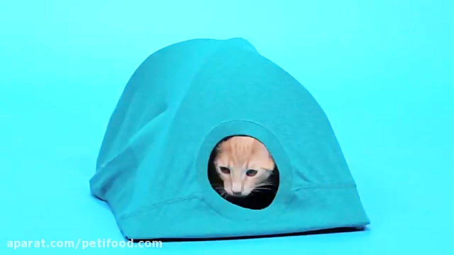 ساختن لانه گربه با کاردستی لوازم منزل