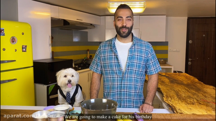 •کیکِ تَوّلدِ مخصوصِ سگ‌ها•