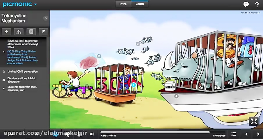 مکانیسم اثر تتراسیکلین