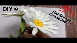 آموزش ساخت گل بابونه با فوم/ ویدئو بی کلام