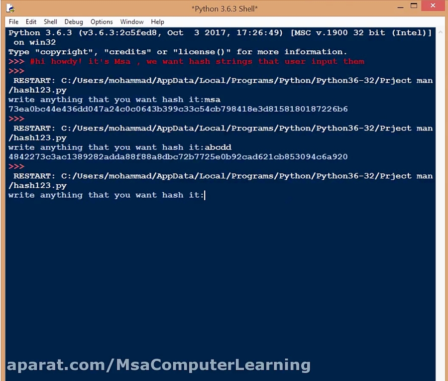 hash کردن اطلاعاتی که کاربر وارد می کند با زبان پایتون