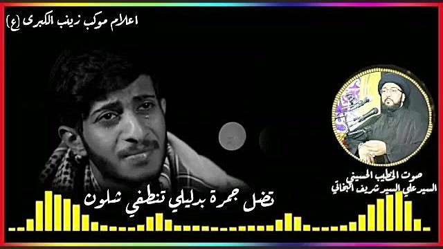 ویدبید - نعی فقد الاحباب