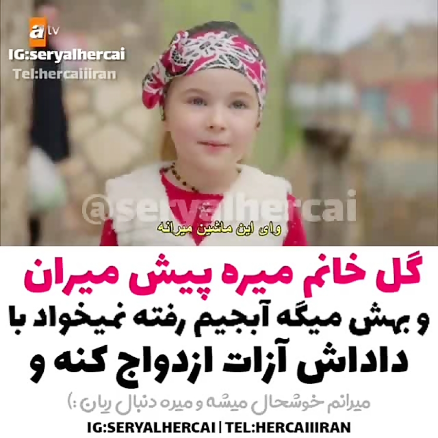 گلی میره پیش میران میگه آبجیم رفته نمیخواد با داداش آزاد عروسی کنه