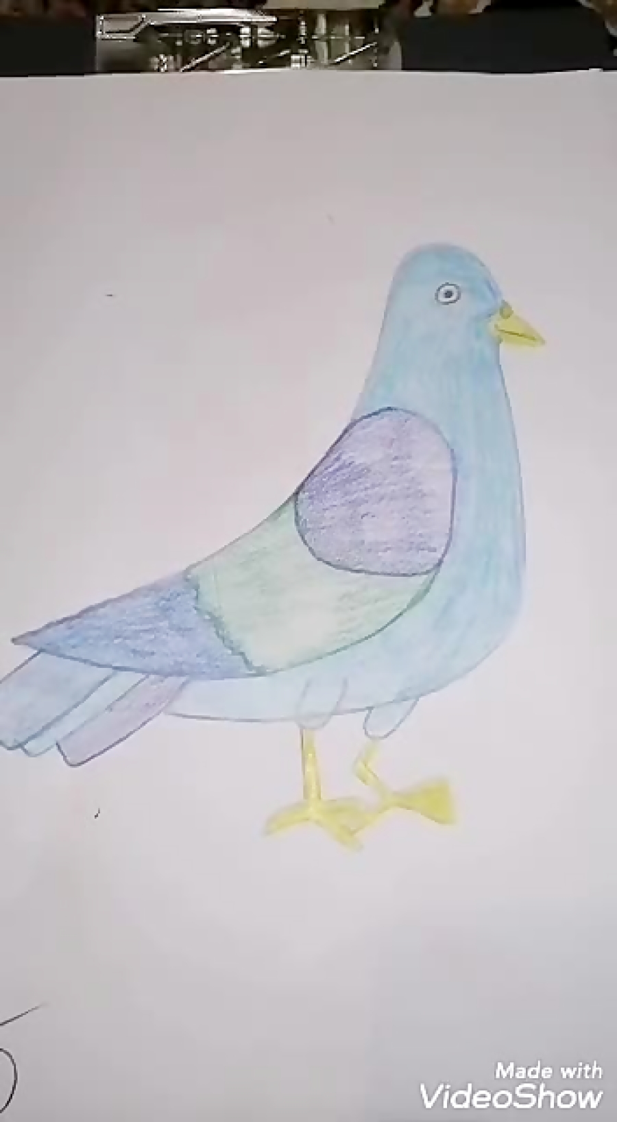 نقاشی کبوتر
