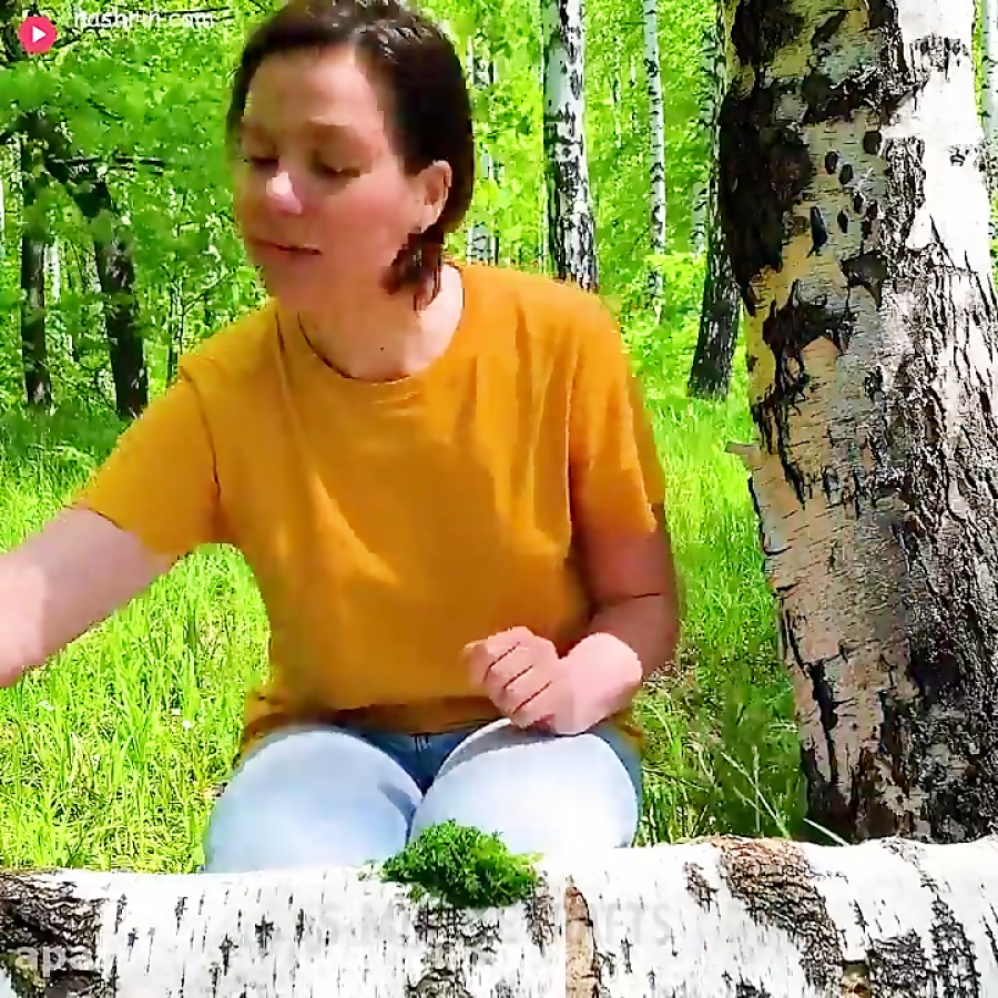 ترفند برای رفتن به پیک نیک در یک نگاه