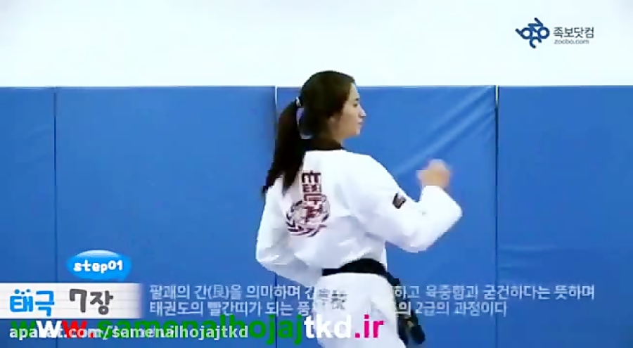 فرم تکواندو