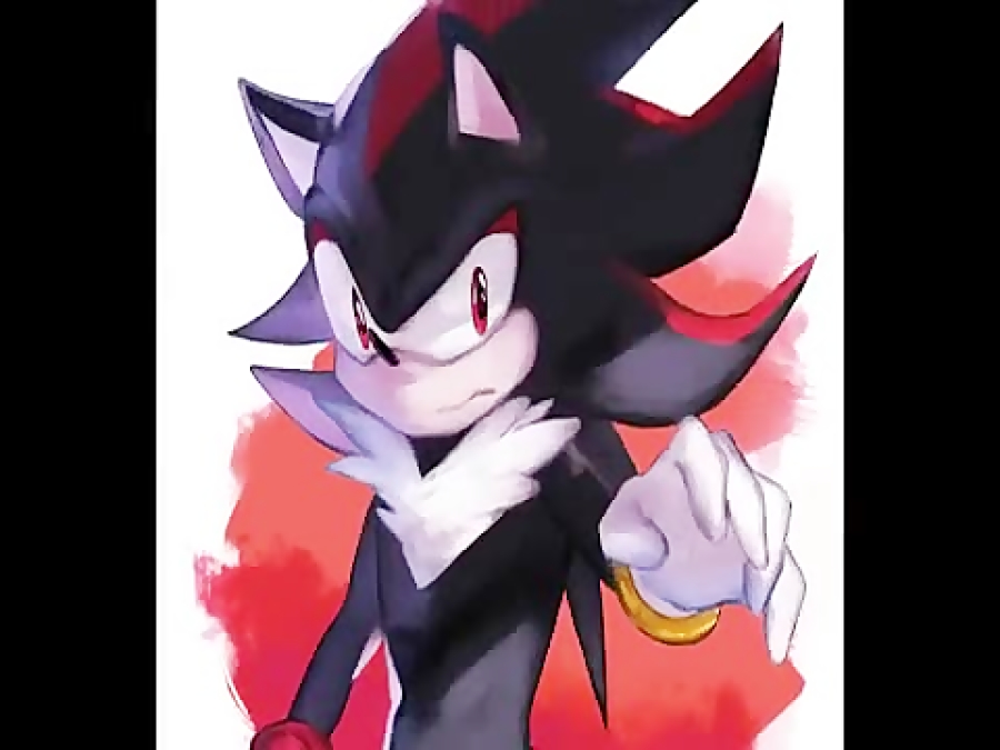 کلیپ زیبا از شدو خارپشت