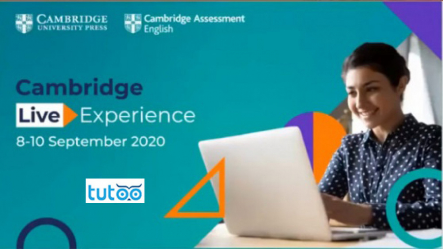 Rod Ellis - Using tasks in language teaching