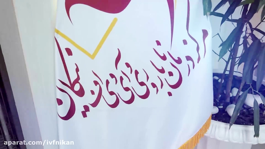 هیستروسکوپی