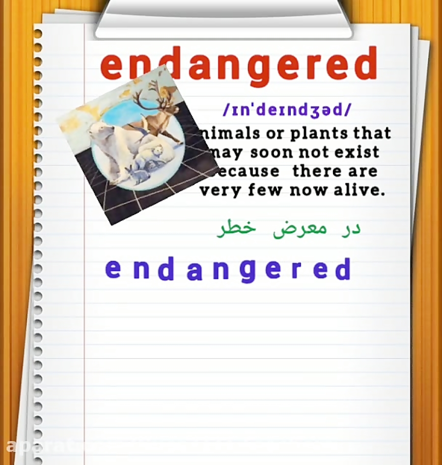 Vision 1, Lesson 1, Word Bank