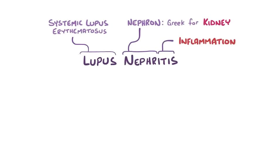Lupus_nephritis_causes,_symptoms