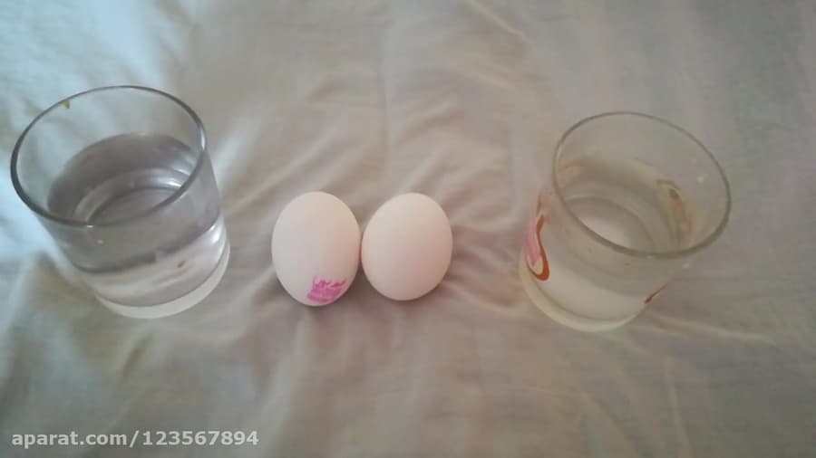 آزمایش تخم مرغ در آب خالص و آب نمک