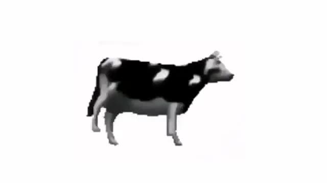 Polish cow full version