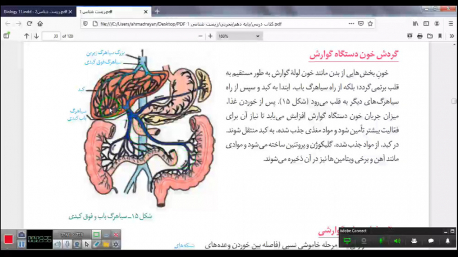 تدریس جذب مواد در روده باریک ، ساختار روده بزرگ و بررسی گردش خون دستگاه