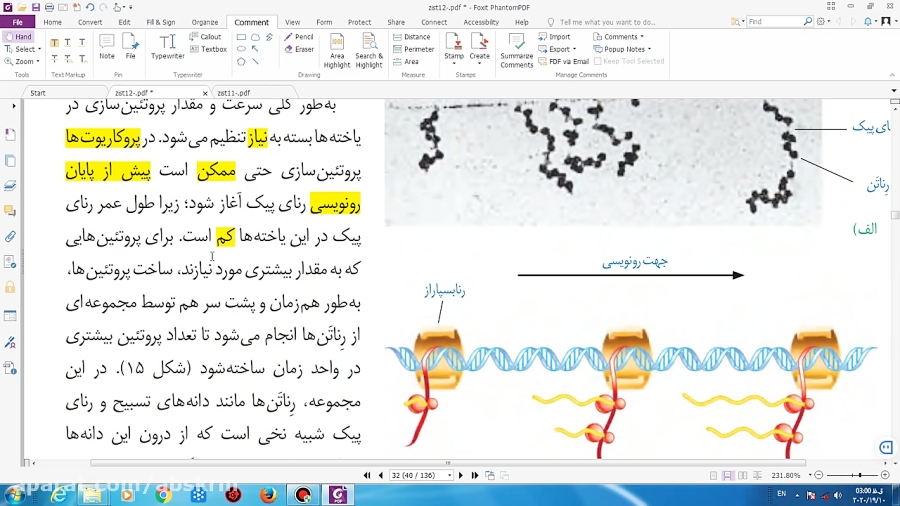 سرعت پروتئین سازی