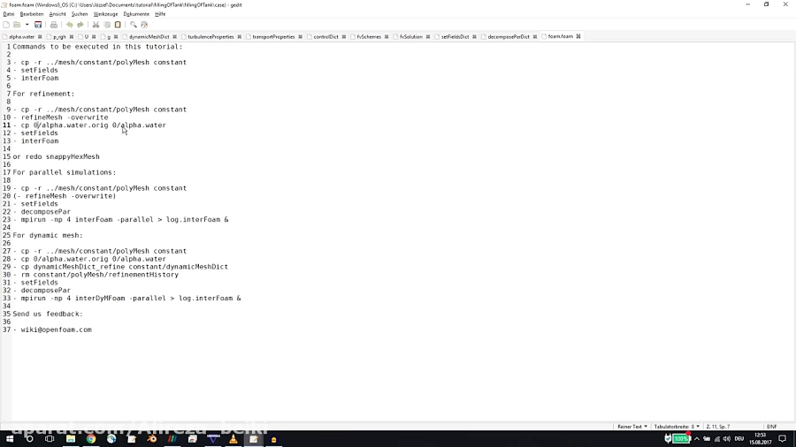 Multiphase simulation - tutorial part 4 - simulation