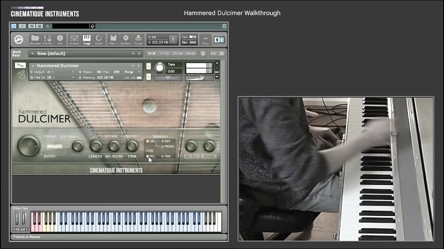 Hammered Dulcimer - | www.Best-vst.ir