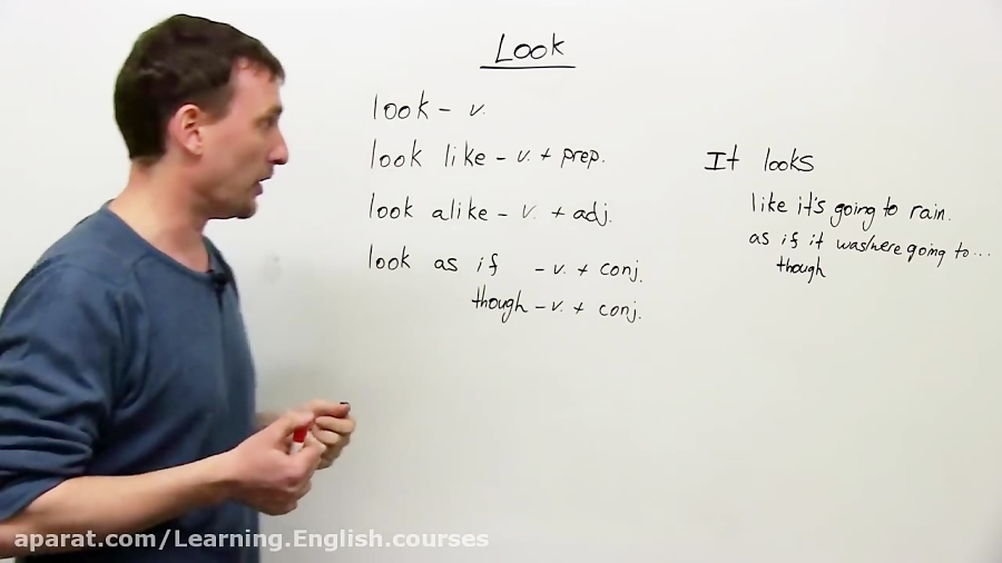 Learn Vocabulary - look, look like, look alike, look as if