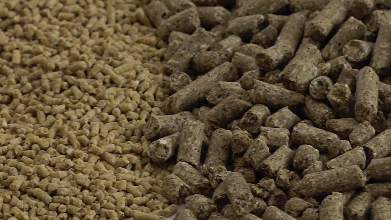 تست کیفیت پلت Holmen NHP200 Auto Pellet Durability Test