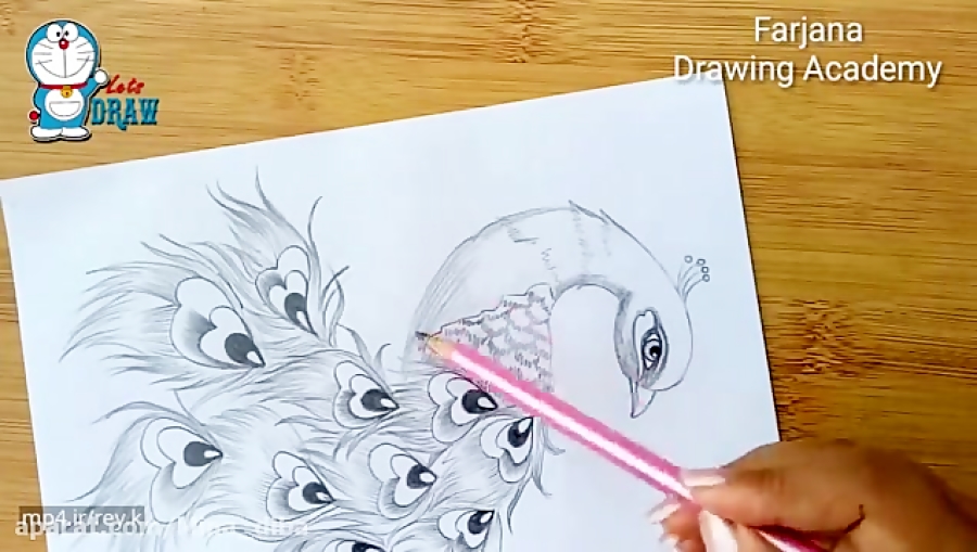 آموزش نقاشی یه طاووس بسیار زیبا