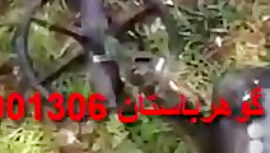 خریدفلزیاب09198001306