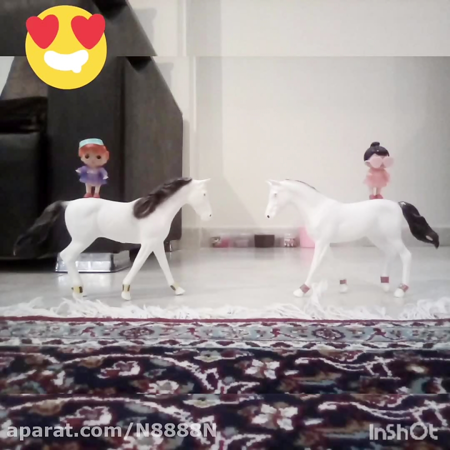 ال و ال های سوارکار من